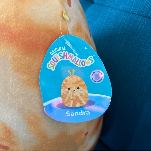 Squishmallows | Toys | Squishmallows Special Edition Sandra The Carrot ...